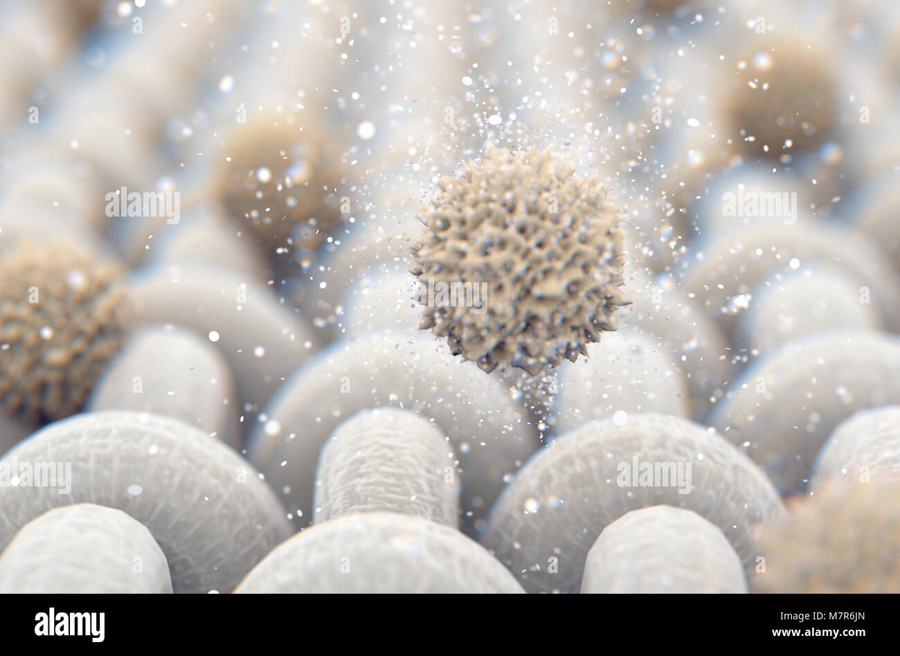 A microscopic close up view of a simple woven textile and a visible ...