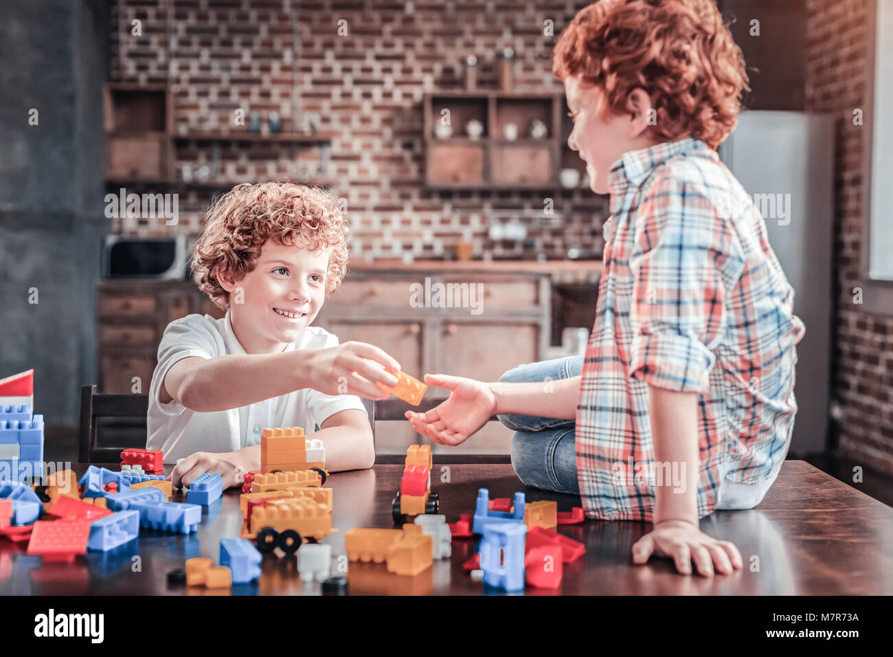 Positive happy brothers playing with the constructor set Stock Photo ...