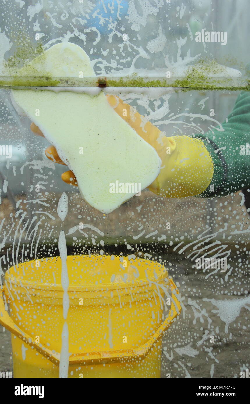 Greenhouse garden wash hi-res stock photography and images - Alamy