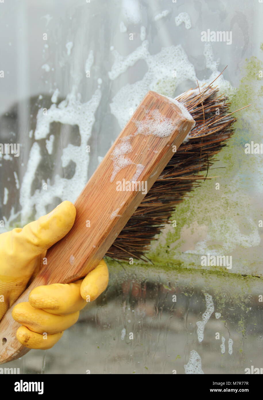 Greenhouse garden wash hi-res stock photography and images - Alamy