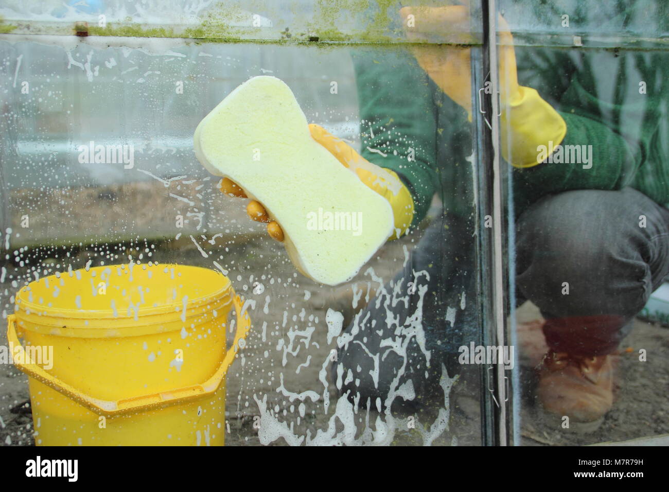 Cleaning greenhouse hi-res stock photography and images - Alamy