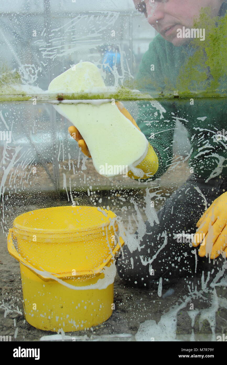 Cleaning greenhouse windows hi-res stock photography and images - Alamy