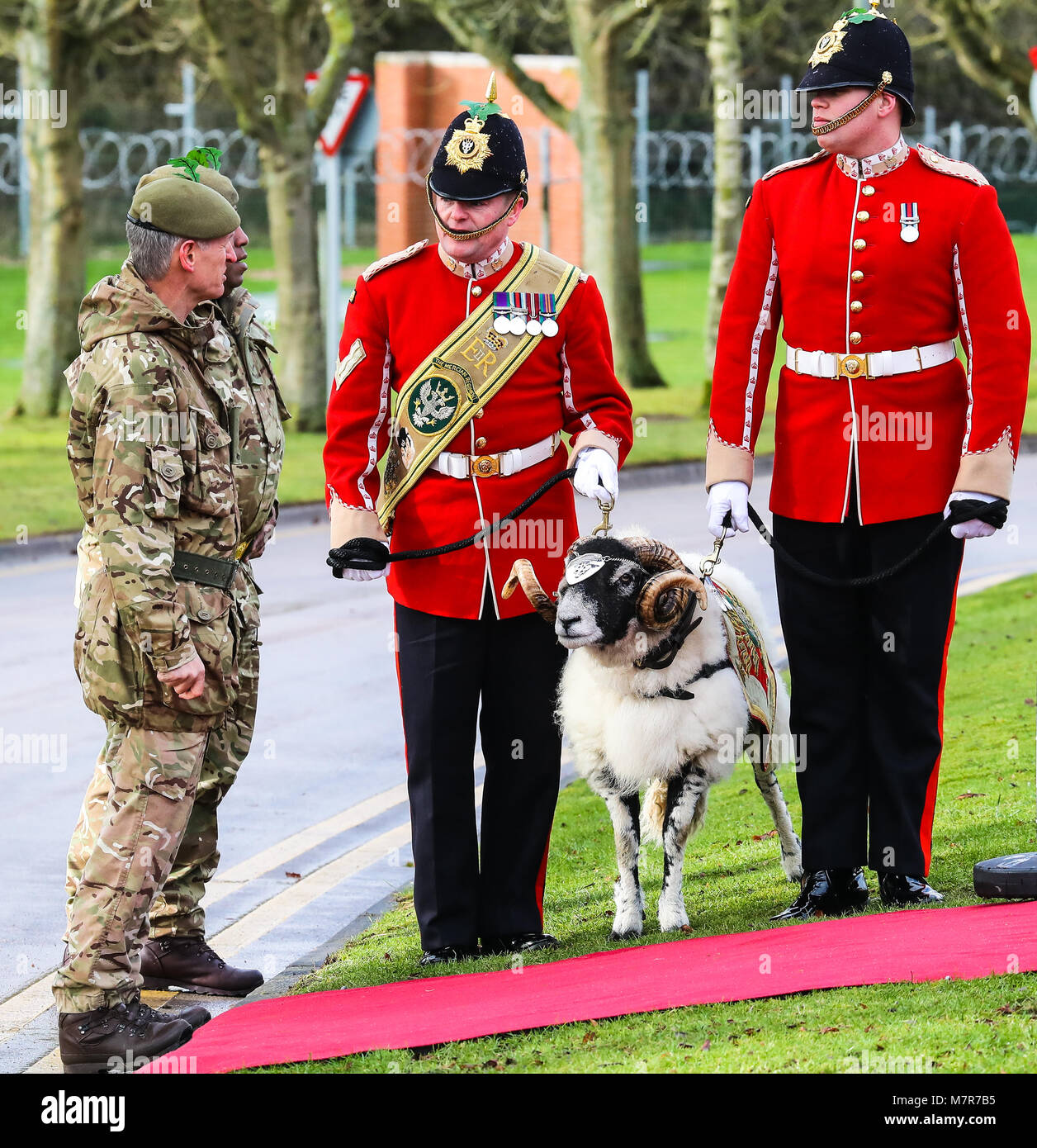 The Prince of Wales, Colonel-in-Chief, The Mercian Regiment, visits the ...