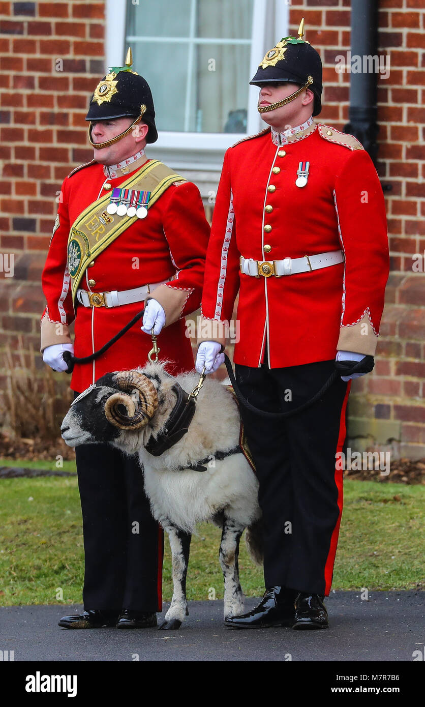 Colonel in chief mercian regiment hi-res stock photography and images ...