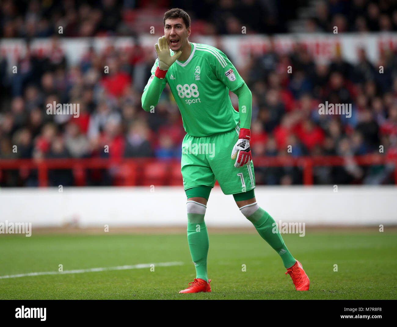Nottingham Forest goalkeeper Costel Pantilimon Stock Photo - Alamy