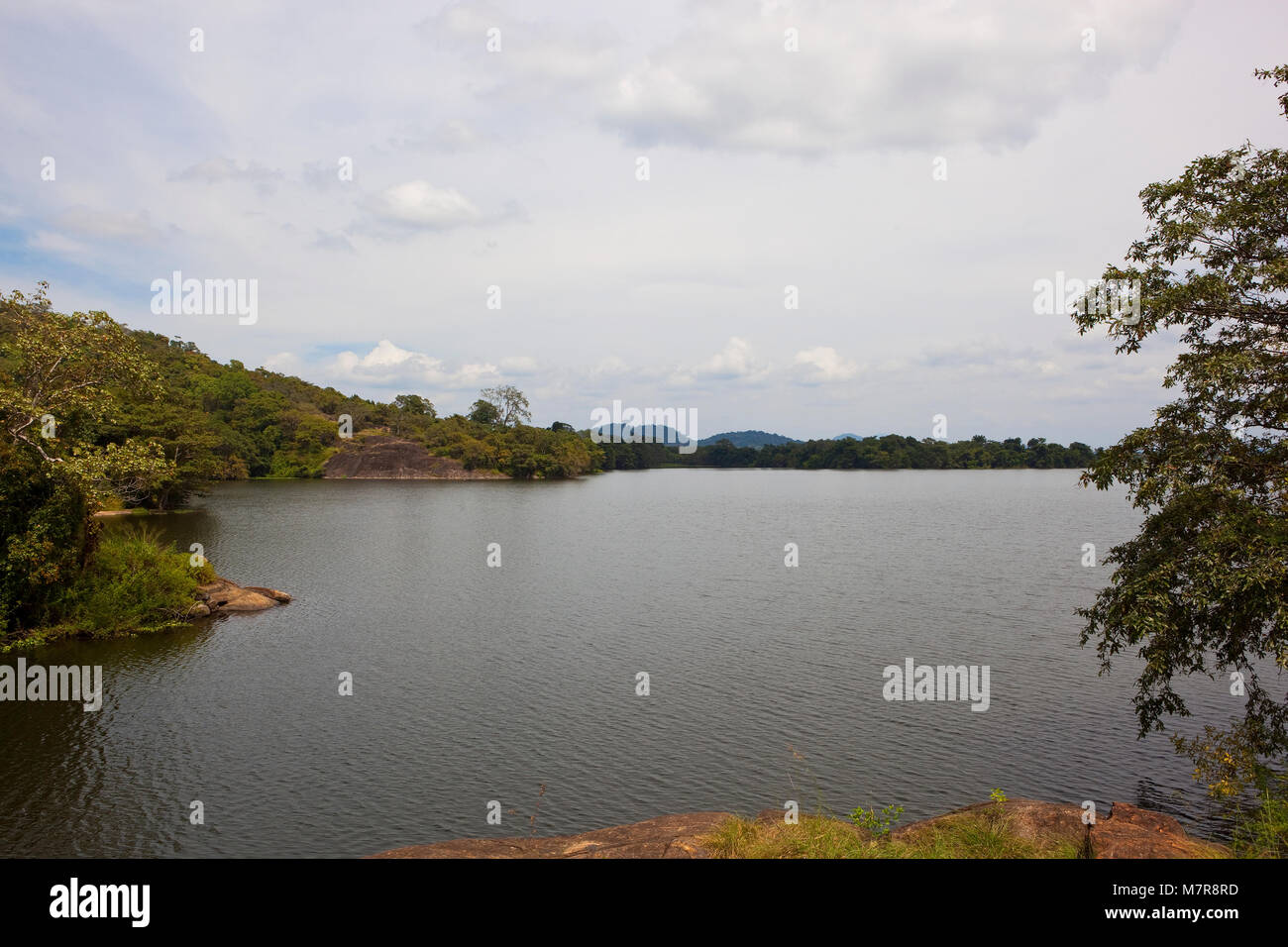 Sorabora lake in sri lanka with wooded hills and lakeside scenery under ...