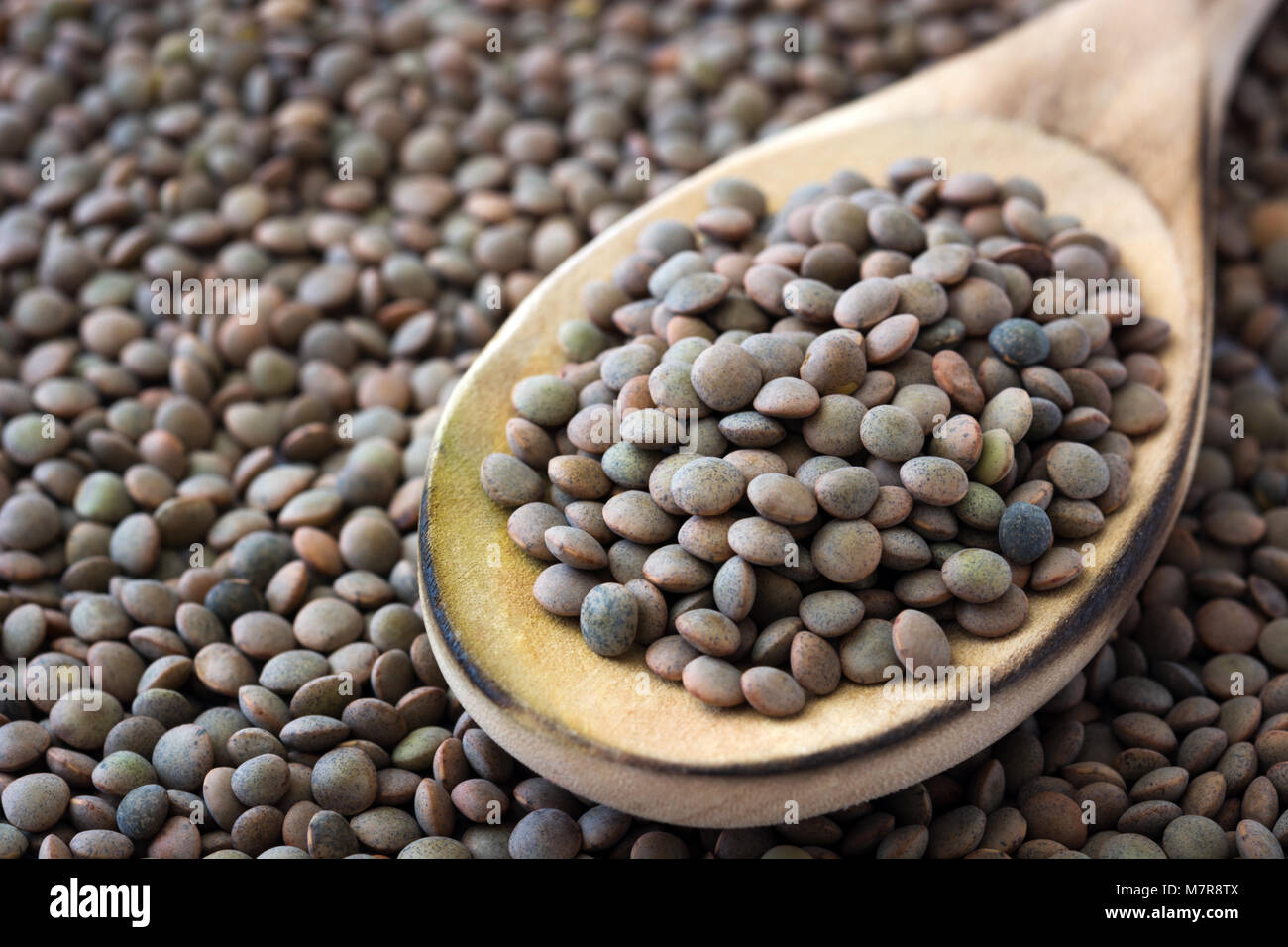 Lentils grain on wooden spoon Stock Photo - Alamy