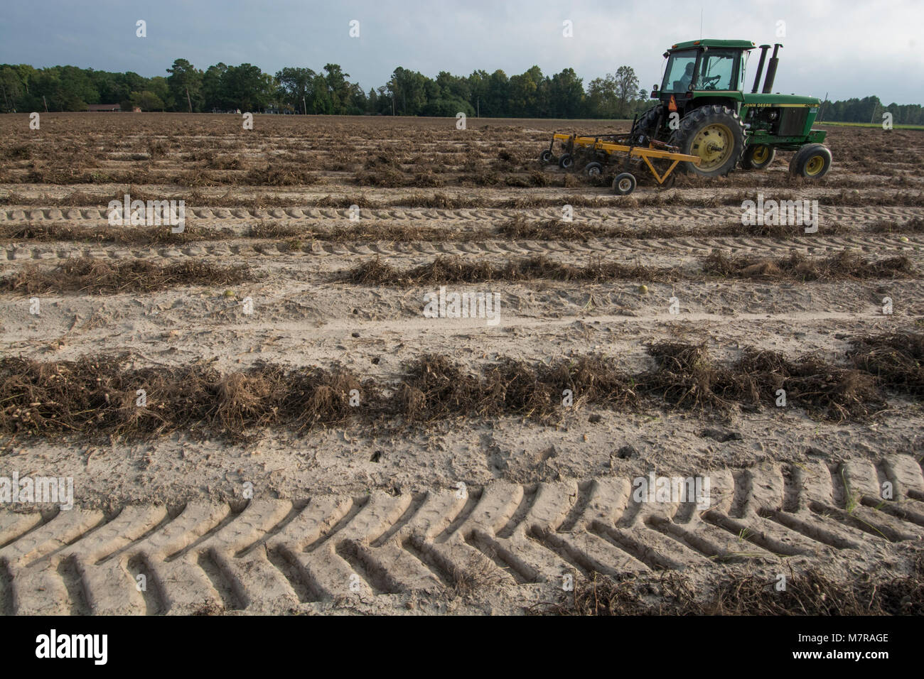 North Carolina farms Stock Photo - Alamy