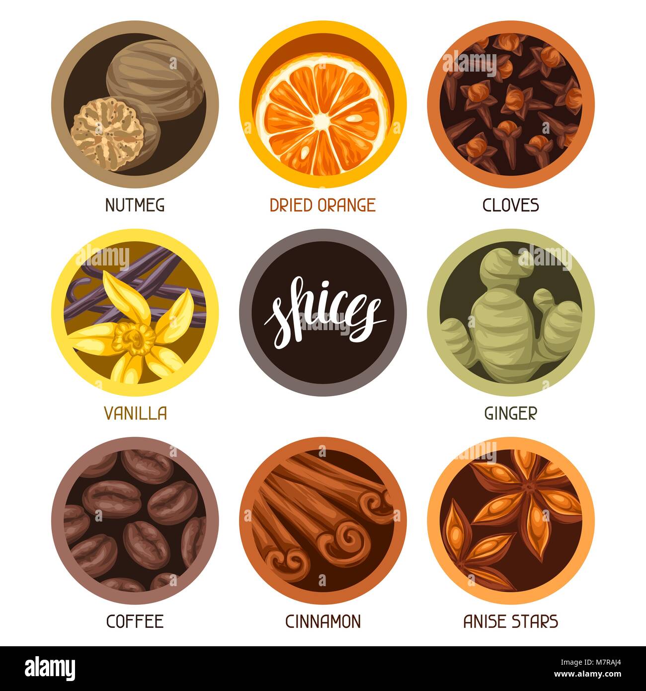 Cloves cinnamon Stock Vector Images - Alamy