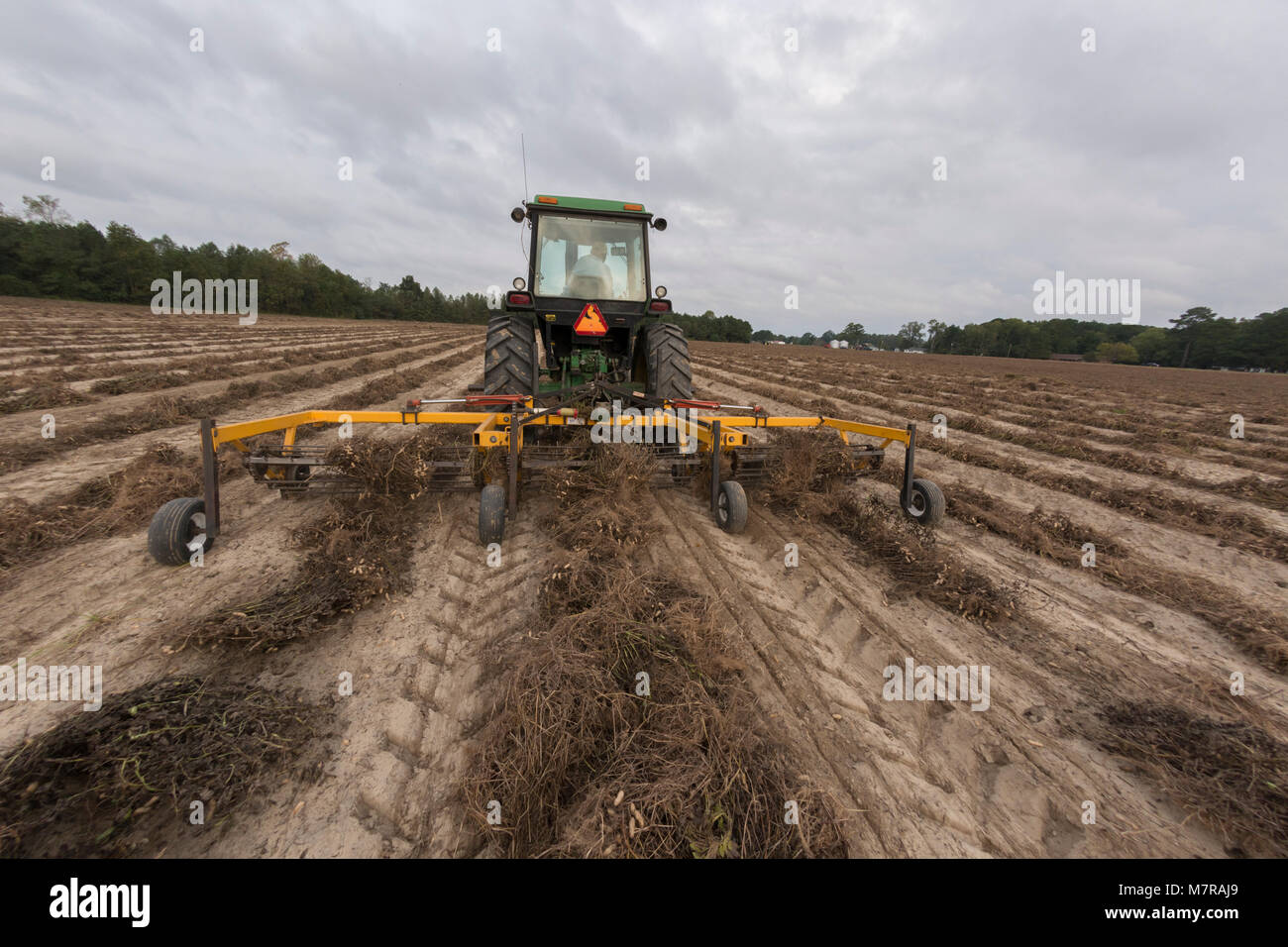 Hog farm north carolina hi-res stock photography and images - Alamy