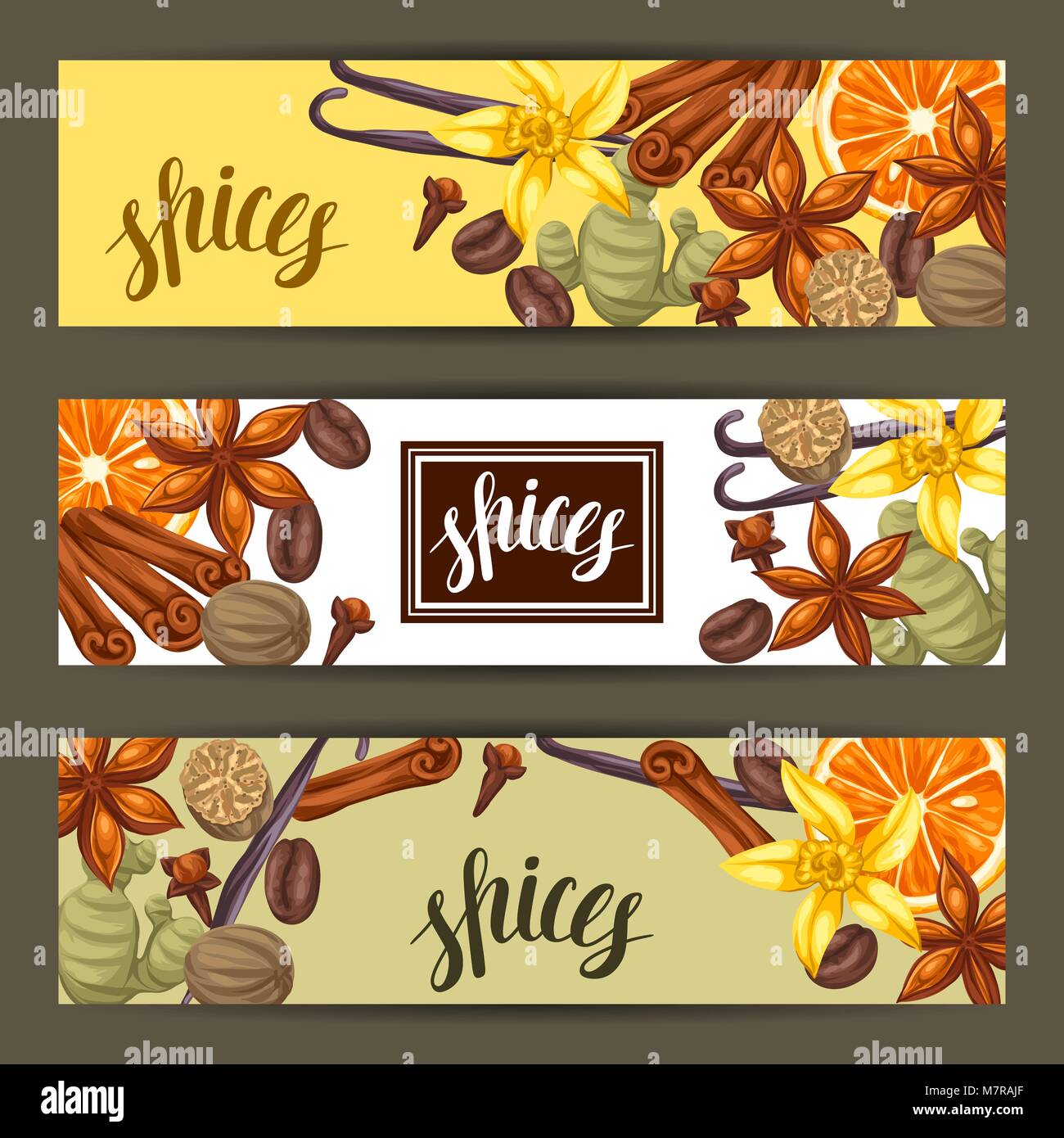 Banners design with various spices. Illustration of anise, cloves ...