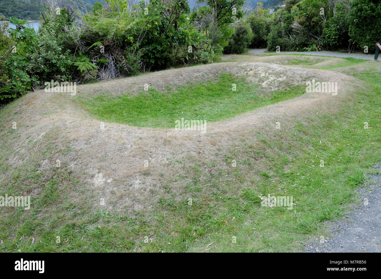 Maori pa hi-res stock photography and images - Alamy