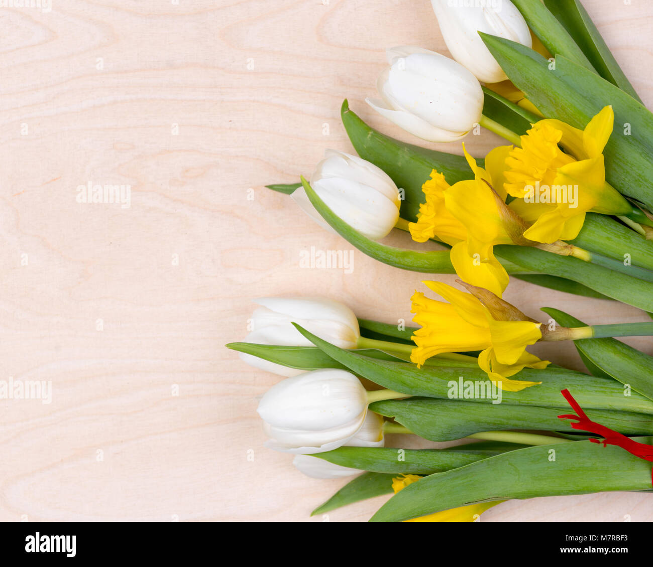 colorful background with fresh flowers Stock Photo - Alamy