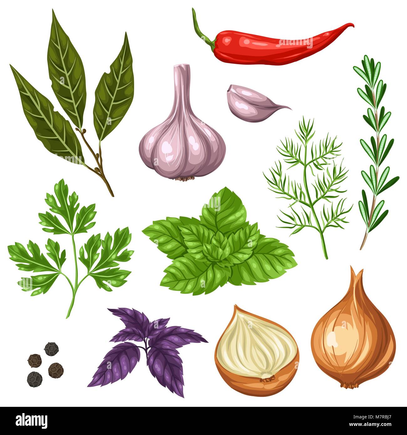 Set fragrant spices in Stock Vector Images - Alamy