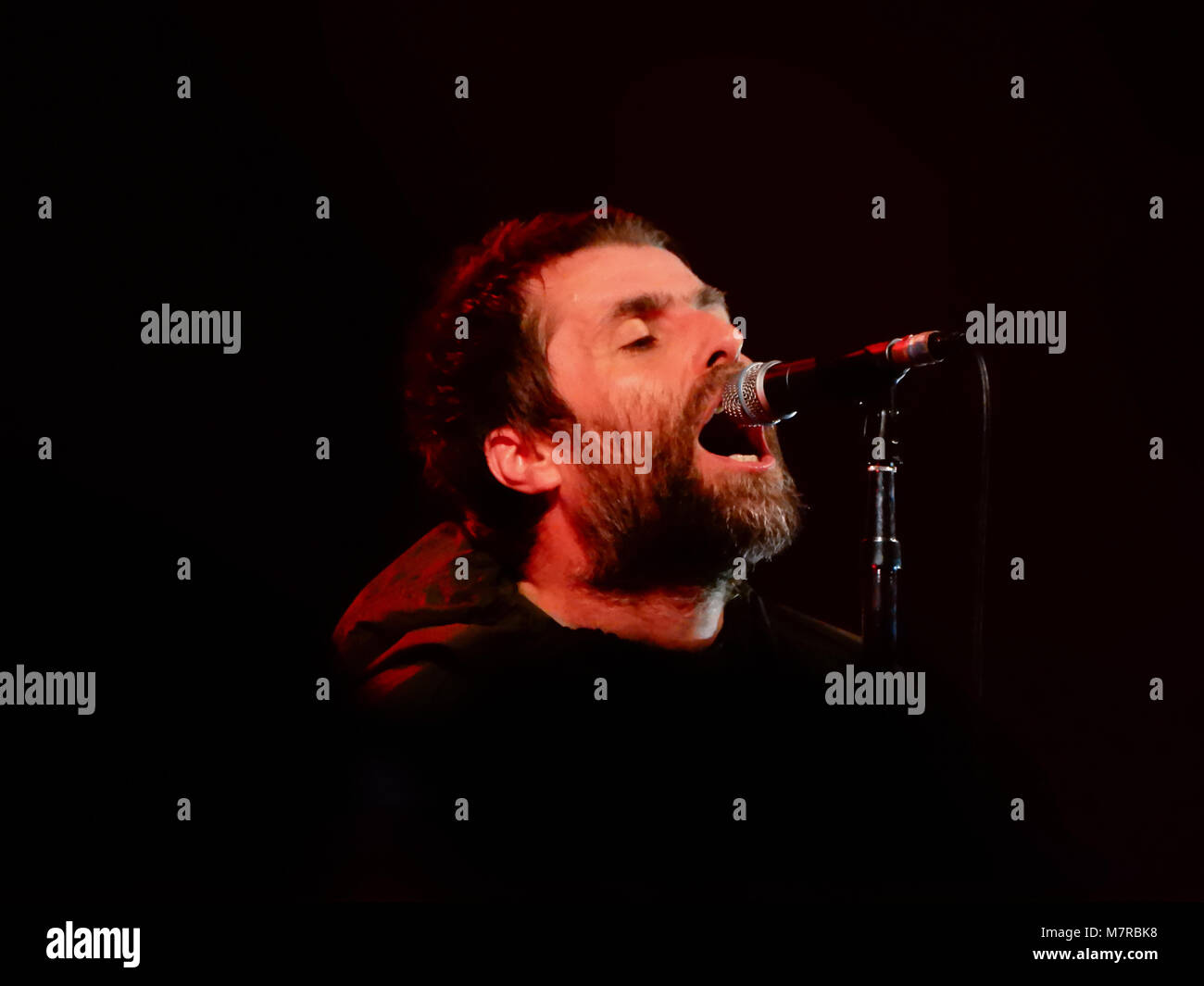 MILAN, ITALY, FEBRUARY 26, 2018 - Liam Gallagher performs in concert at ...