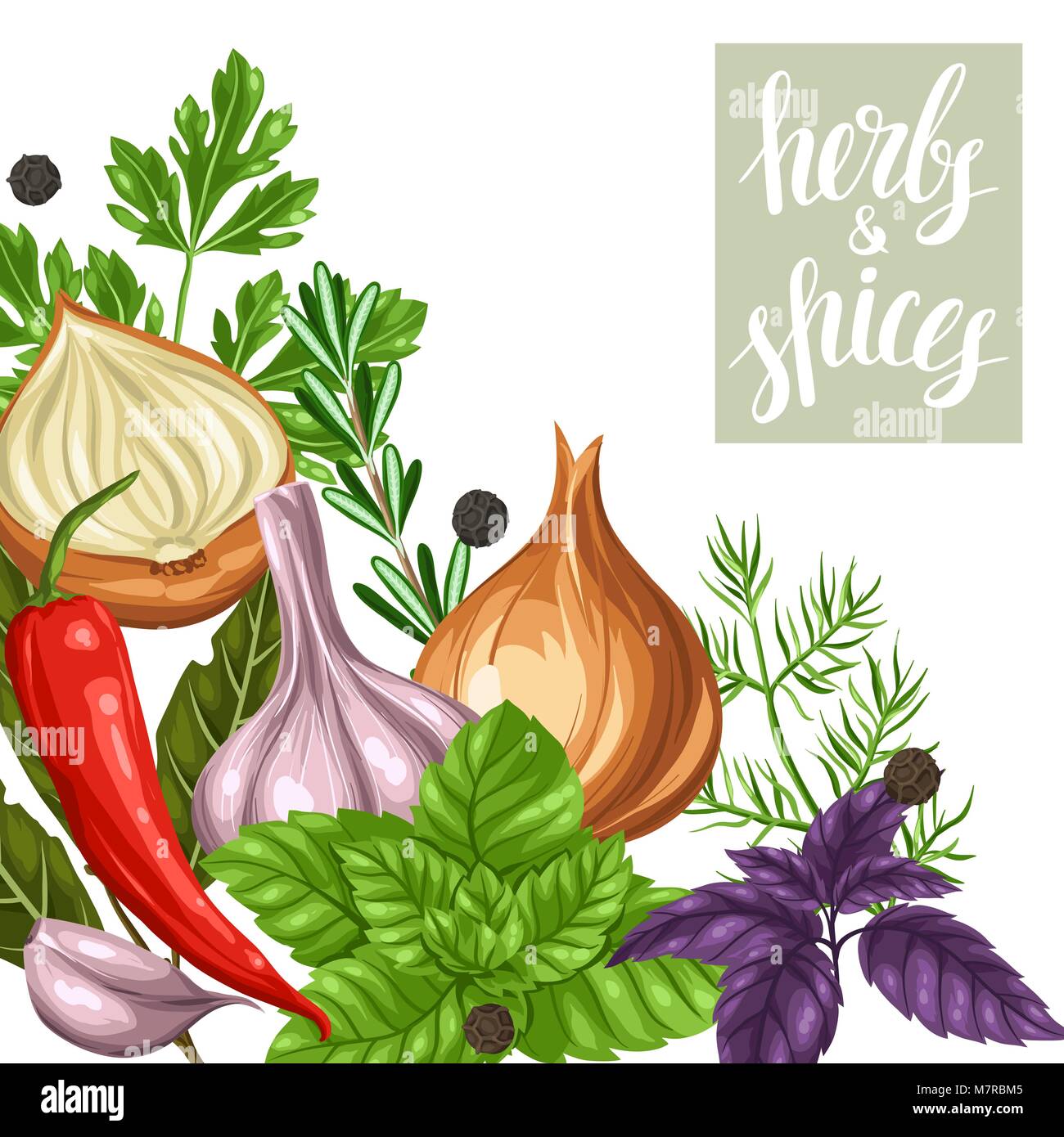 Background design with various herbs and spices Stock Vector Image ...