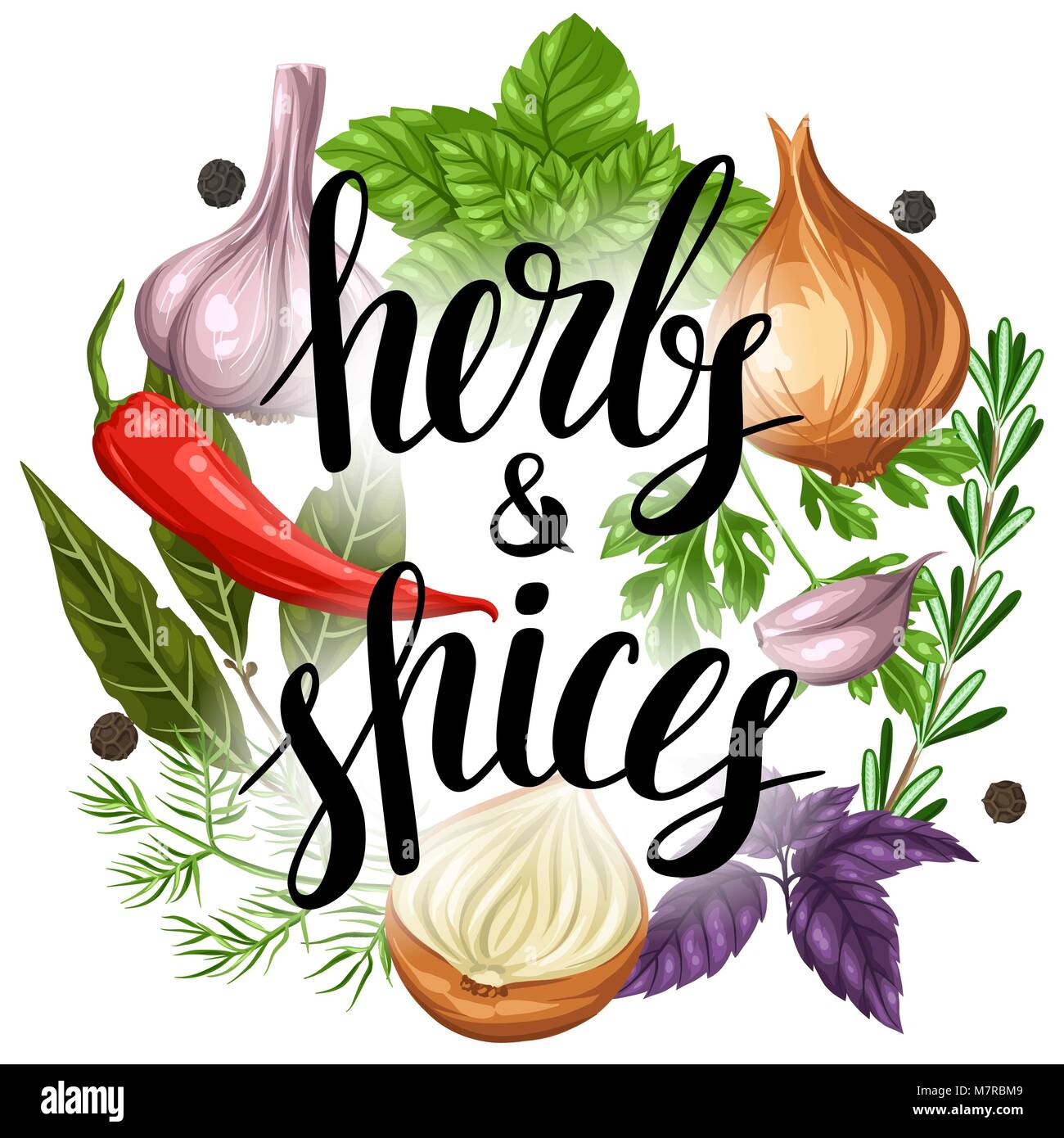Background design with various herbs and spices Stock Vector Image ...
