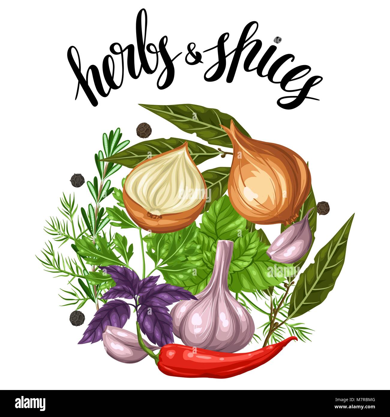 Herbs spices culinary background Stock Vector Images - Alamy