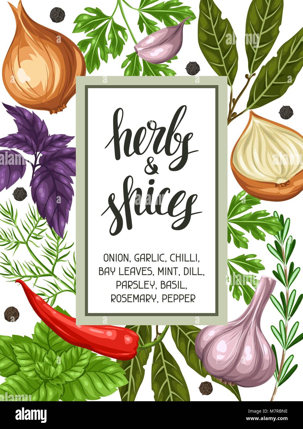 Frame design with various herbs and spices Stock Vector Image & Art - Alamy