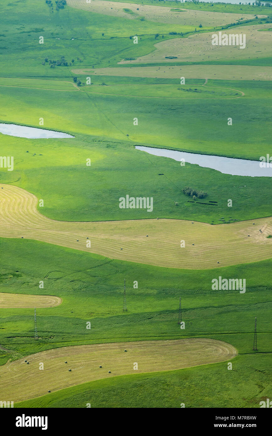 Top view of a waterlogged meadow in summer Stock Photo - Alamy