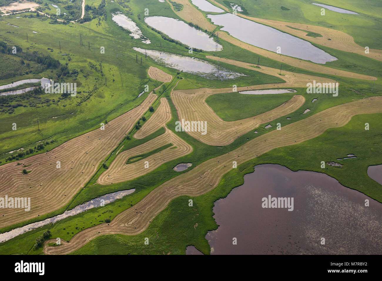 Top view of a waterlogged meadow in summer Stock Photo - Alamy