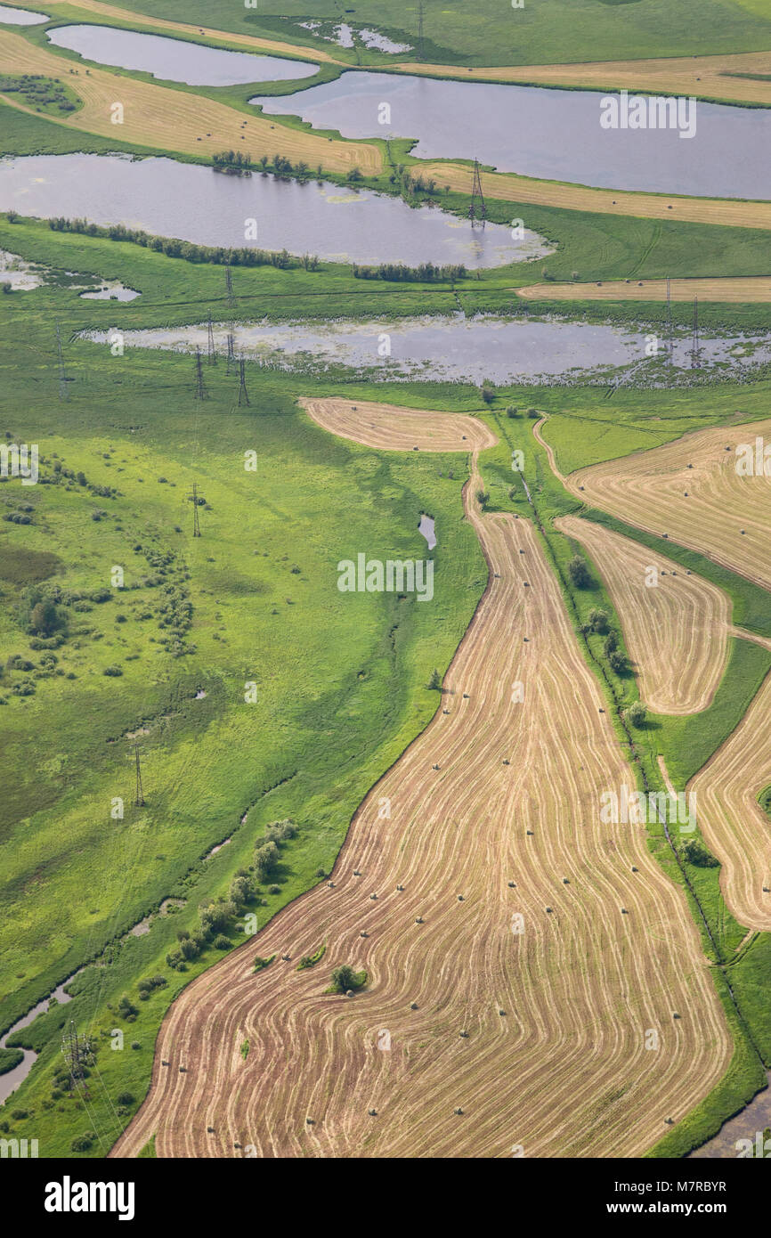 Top view of a waterlogged meadow in summer Stock Photo - Alamy