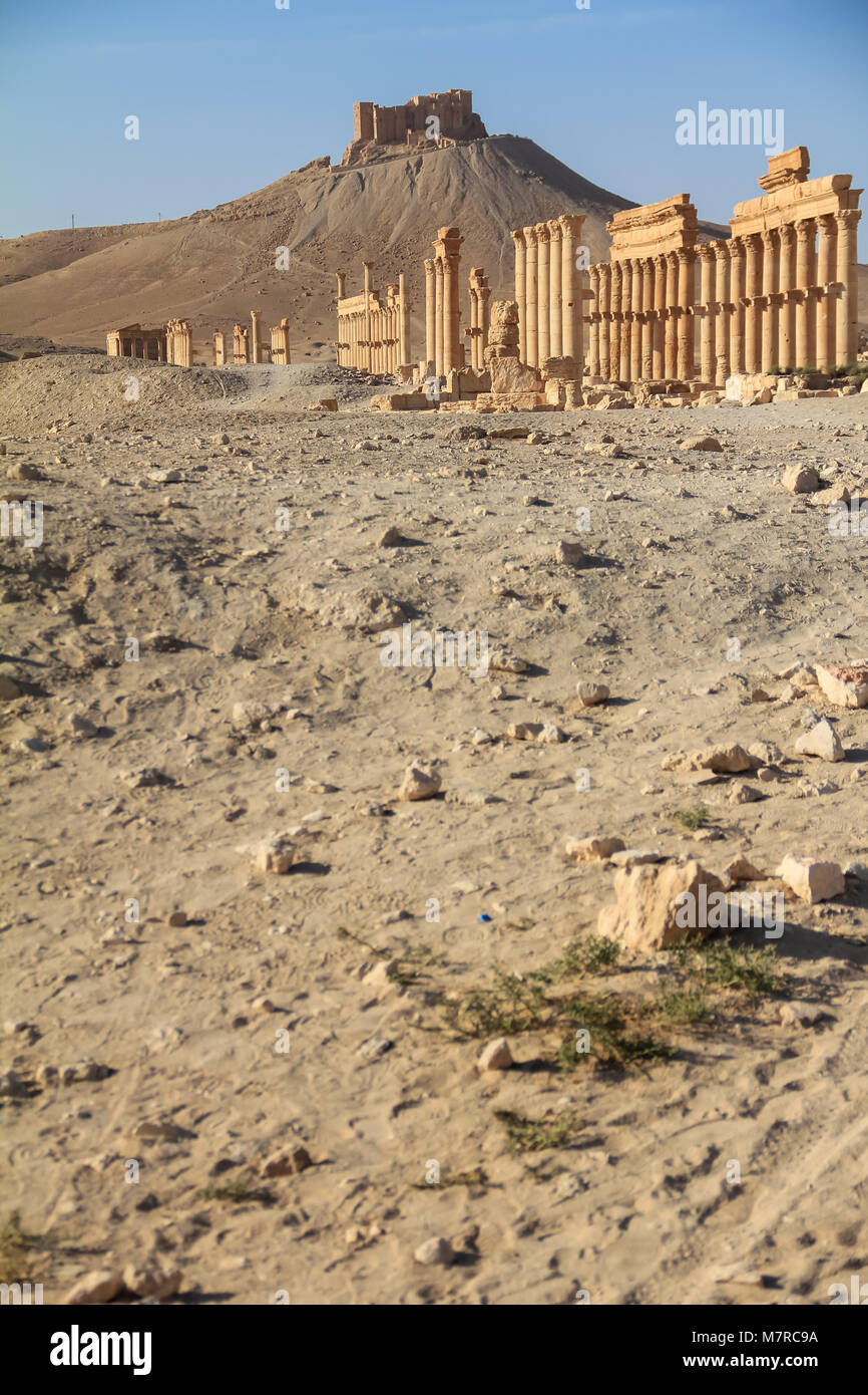 Ancient Roman time town in Palmyra Stock Photo - Alamy