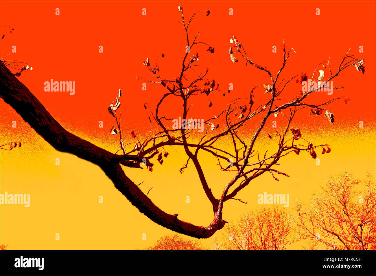 Garden hot seasons hi-res stock photography and images - Alamy