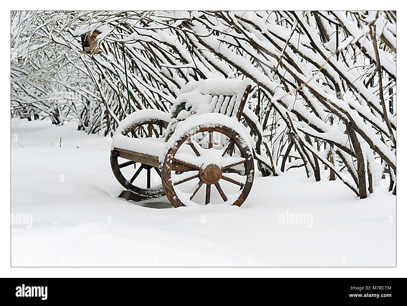 Backyard winter Cut Out Stock Images & Pictures - Alamy