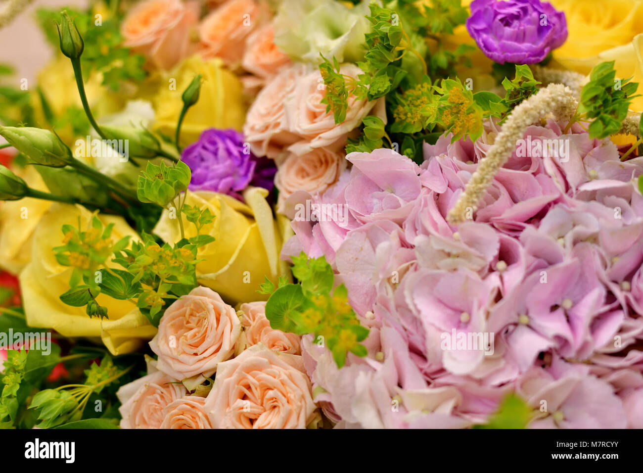 close-up bouquet of different flowers Stock Photo - Alamy
