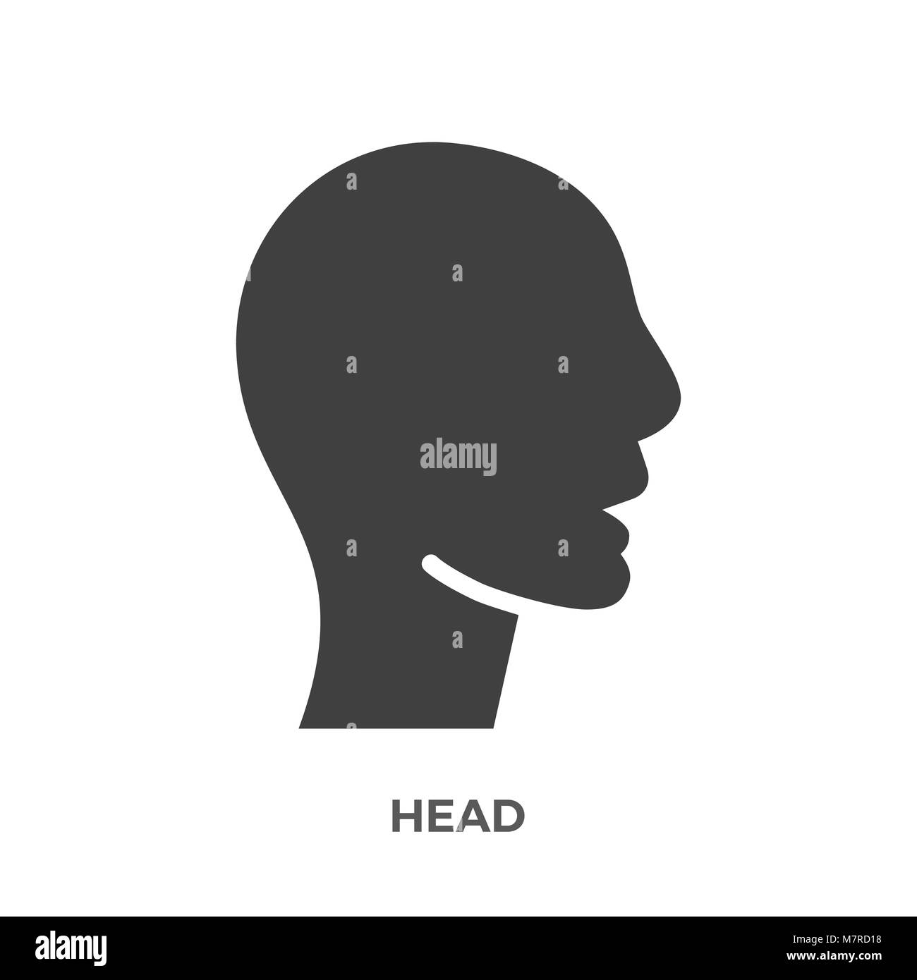 Infographic head Black and White Stock Photos & Images - Alamy