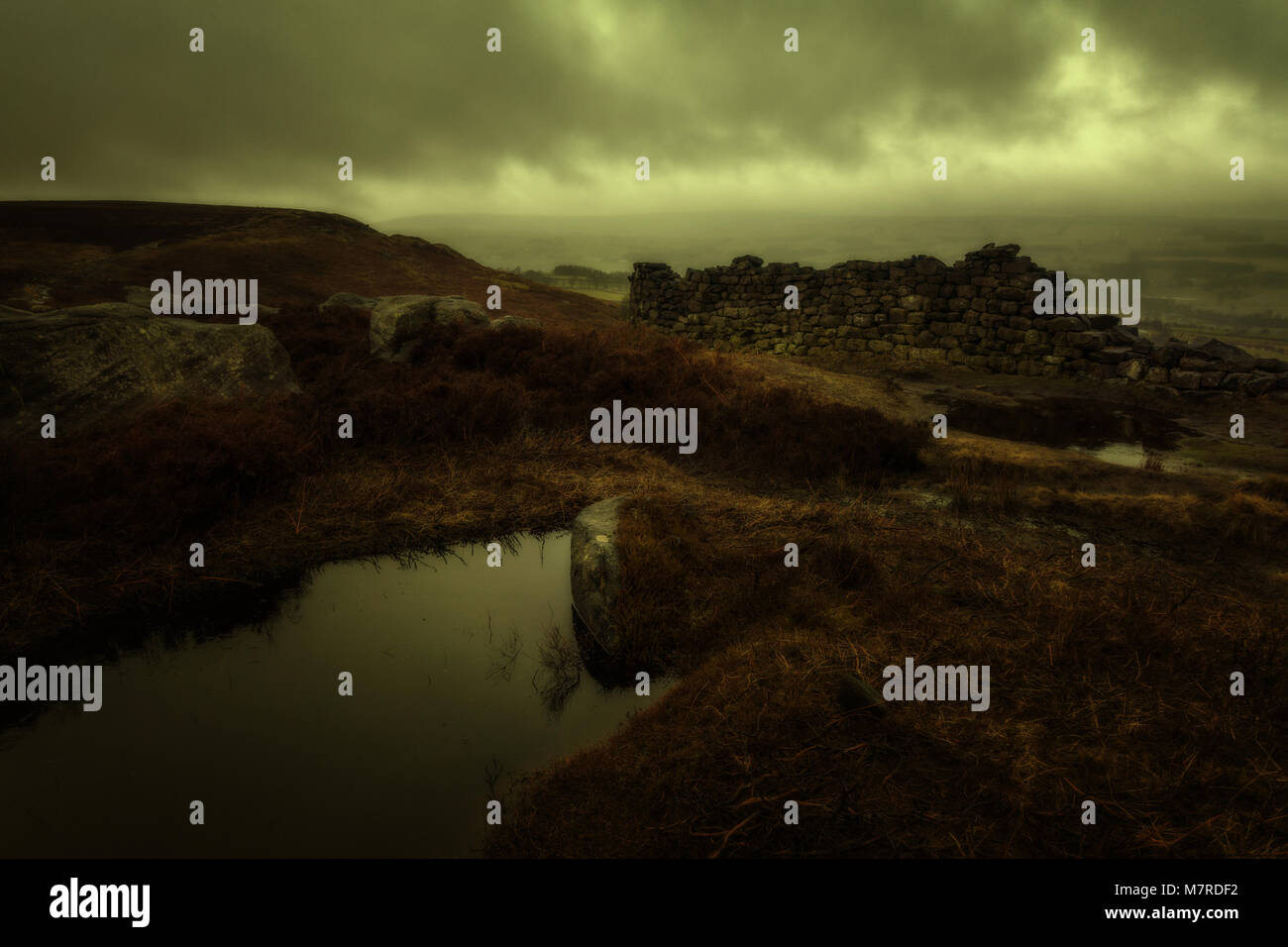 Moody and atmospheric scene of a damp moorland day with stone wall ...