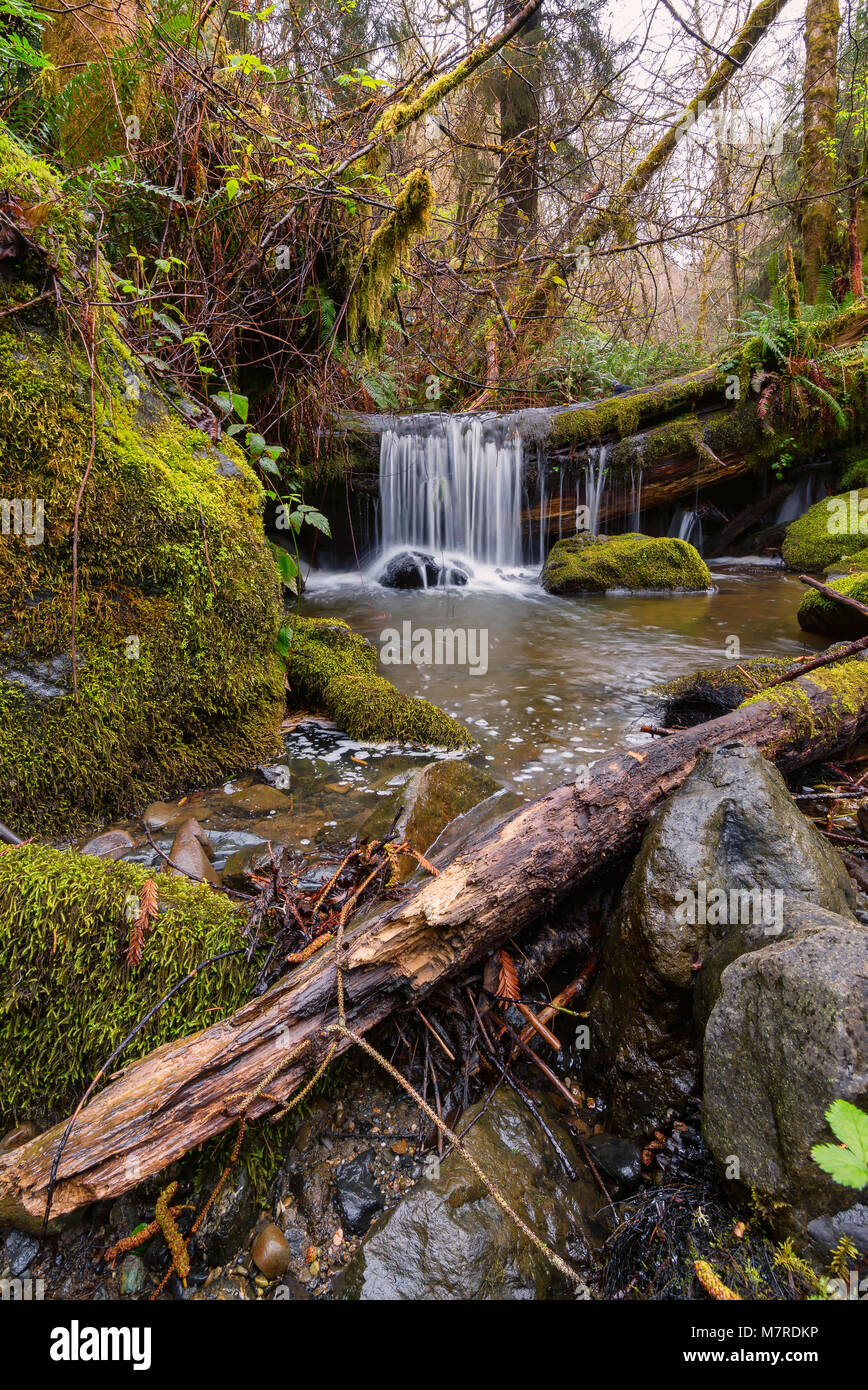 A waterfall in the mountains of Northern California. Color image, day ...