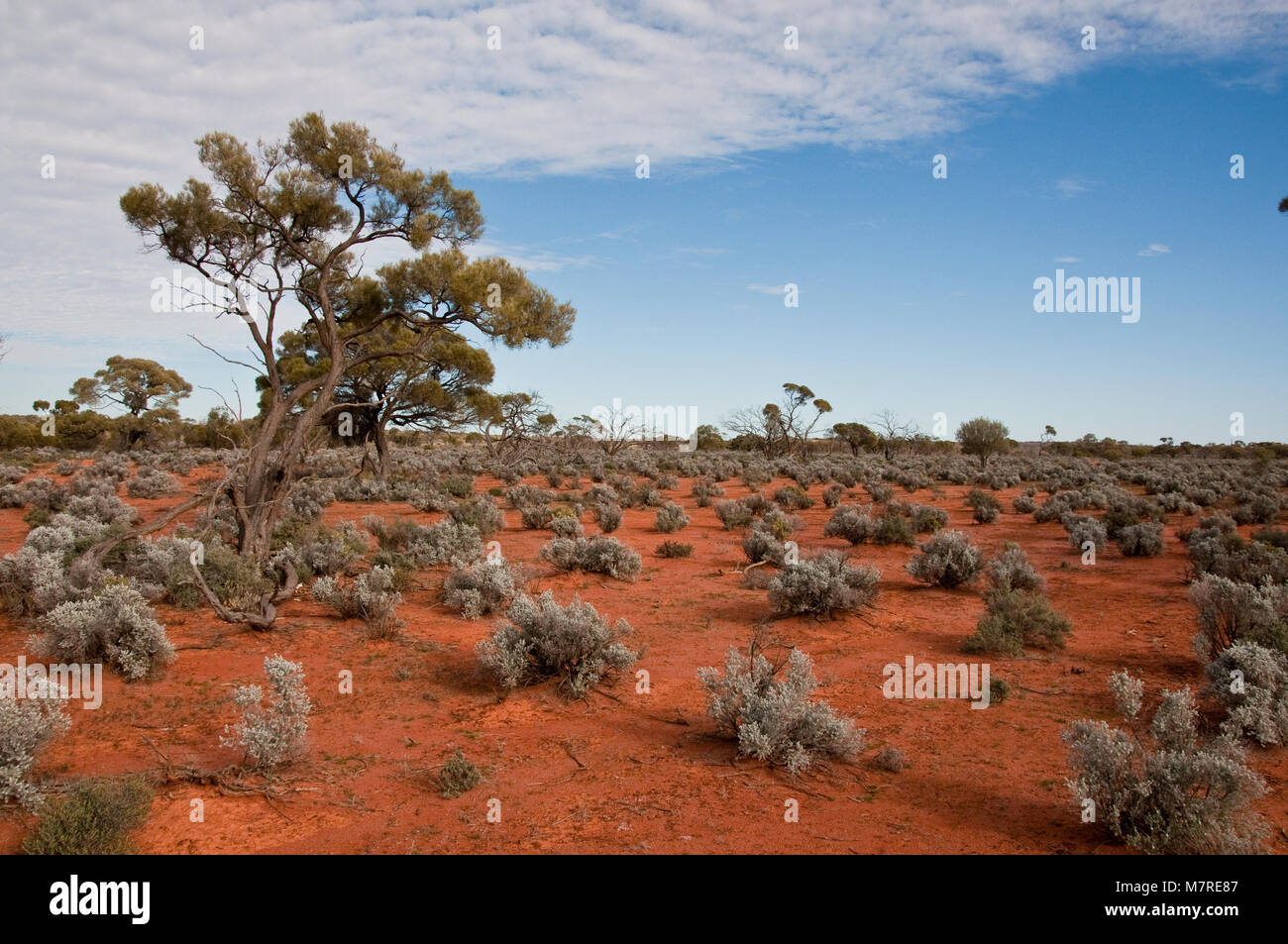 Australian Outback Desert
