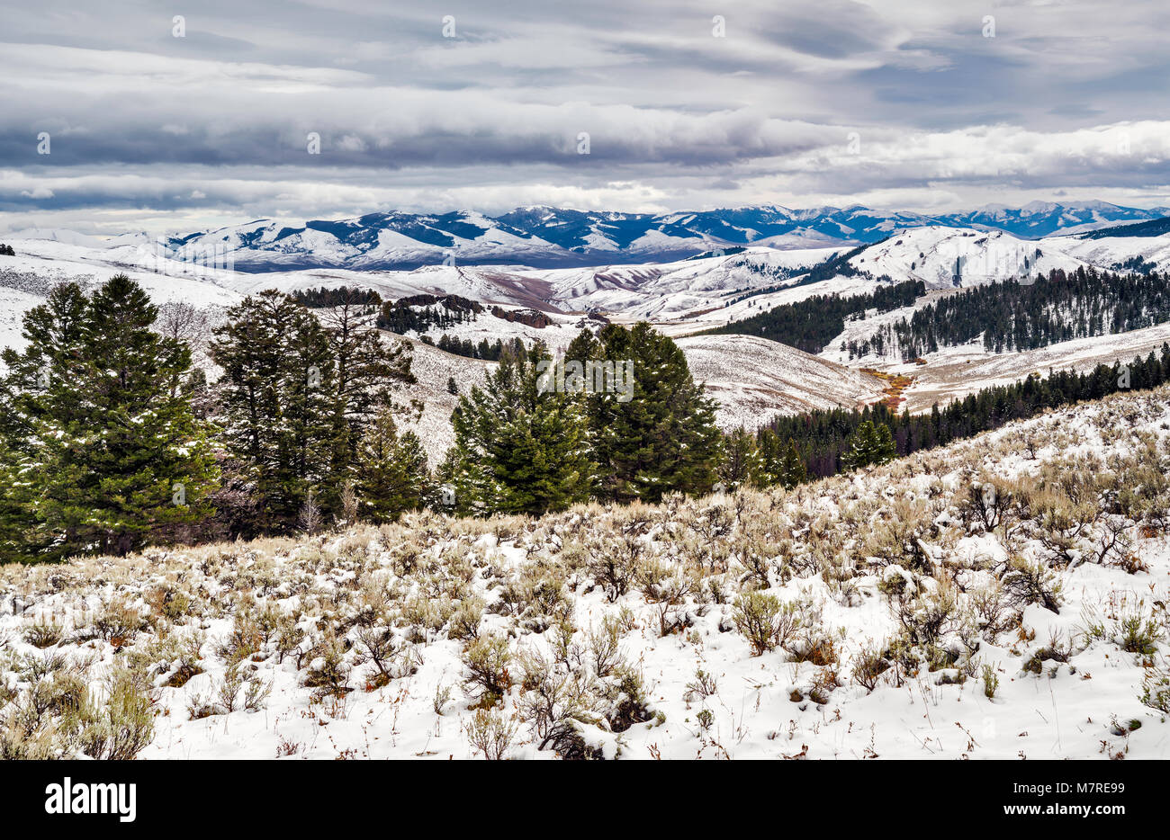 Pioneer Mountains in Montana, late September snow, from Lemhi Pass on ...