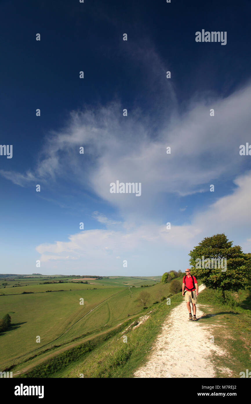 Walker at Cissbury Ring, near Findon village, South Downs National Park ...