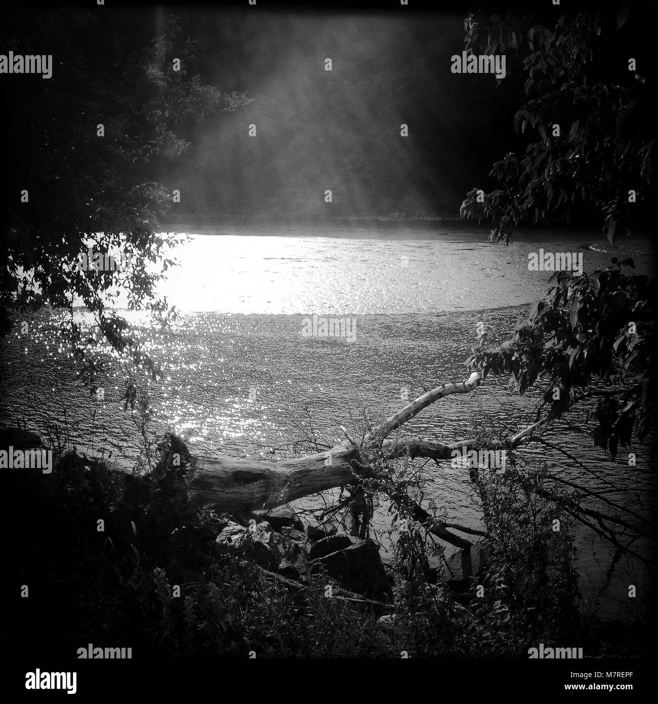 Inwood Park, Bronx, NYC Stock Photo - Alamy