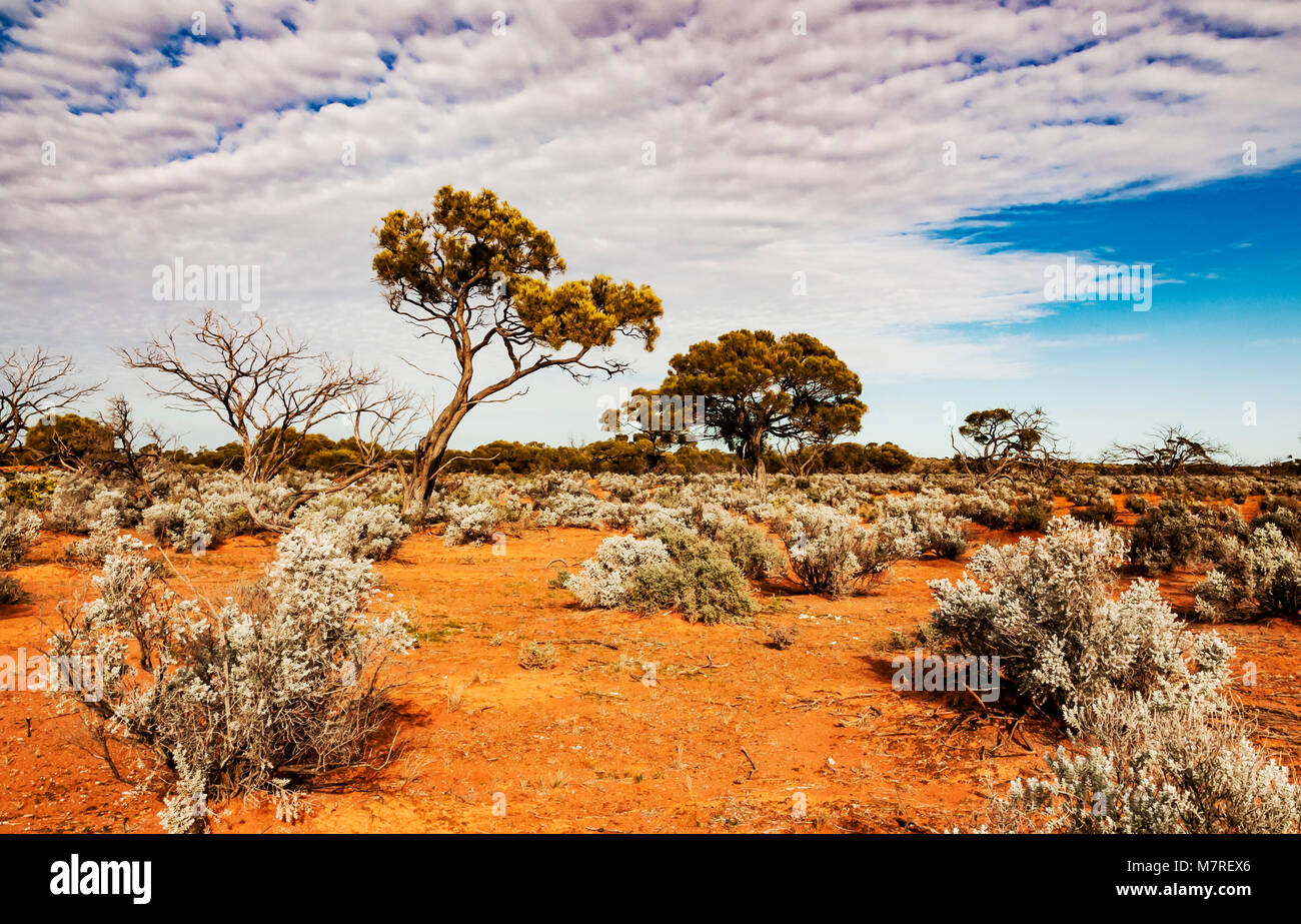 The Australian desert, the outback Stock Photo - Alamy
