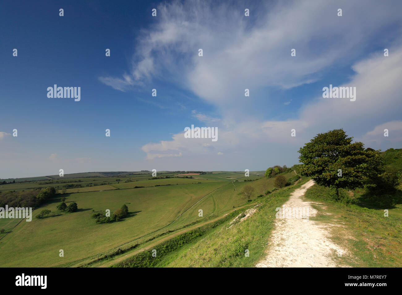 Summer view of the Findon Downs, near the village of Findon, South ...