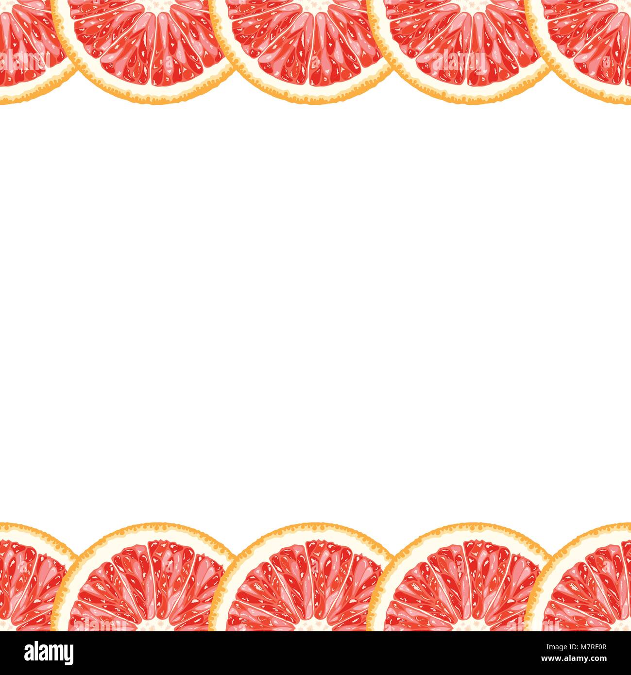 Vector seamless decorative horizontal border of grapefruit slices. Realistic citrus background ...
