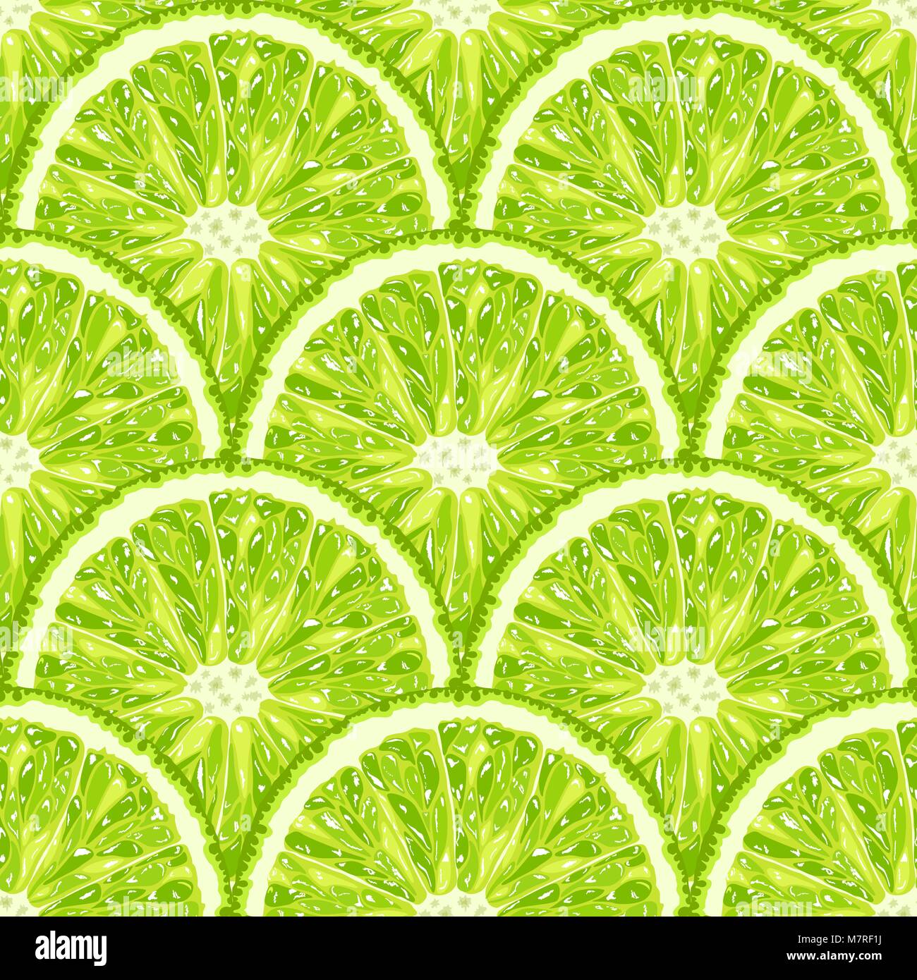 vector seamless pattern of lime slice. Realistic citrus background ...