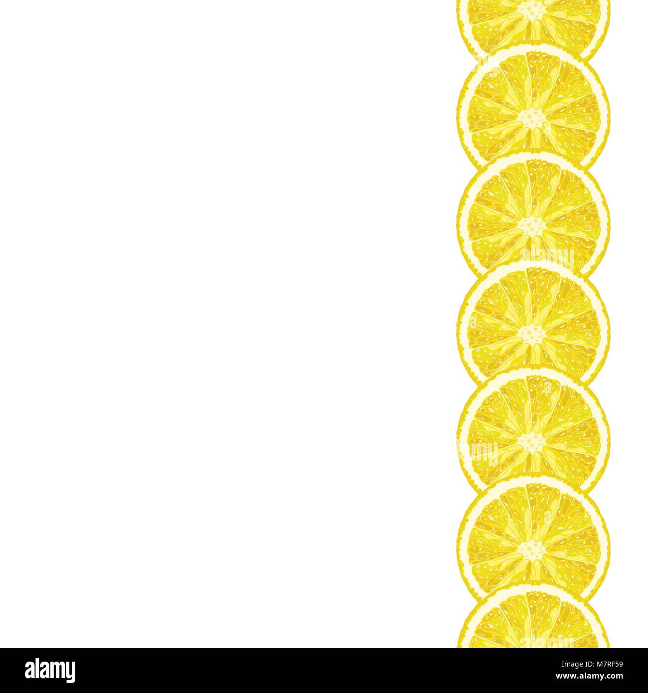 Seamless decorative border of lemon slice. Vector citrus design Stock ...