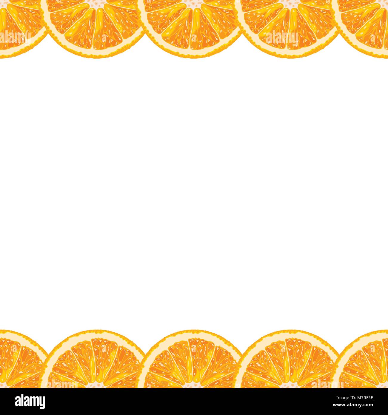 Vector seamless border of orange slice. Citrus background with copy ...