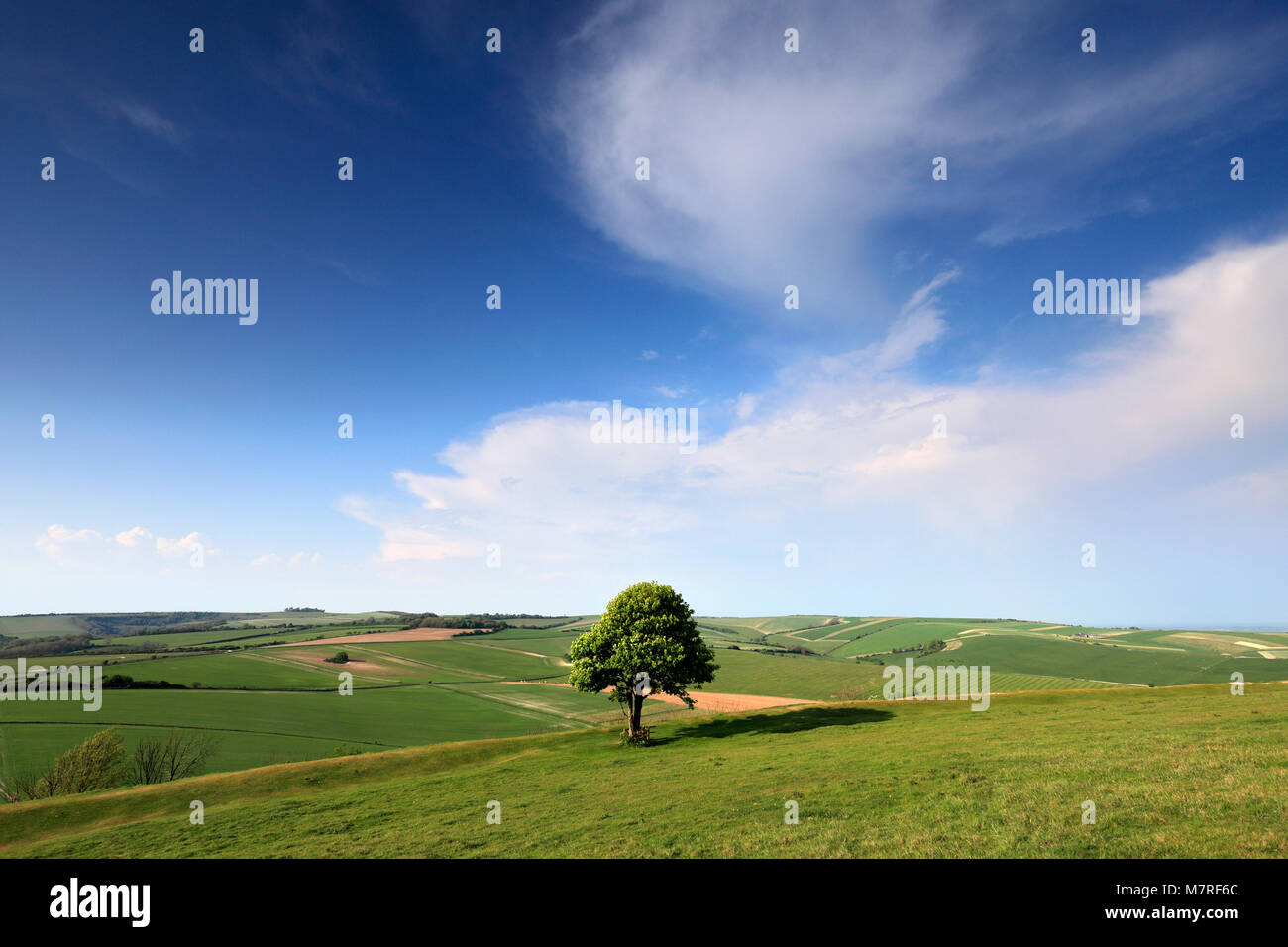 Findon valley hi-res stock photography and images - Alamy