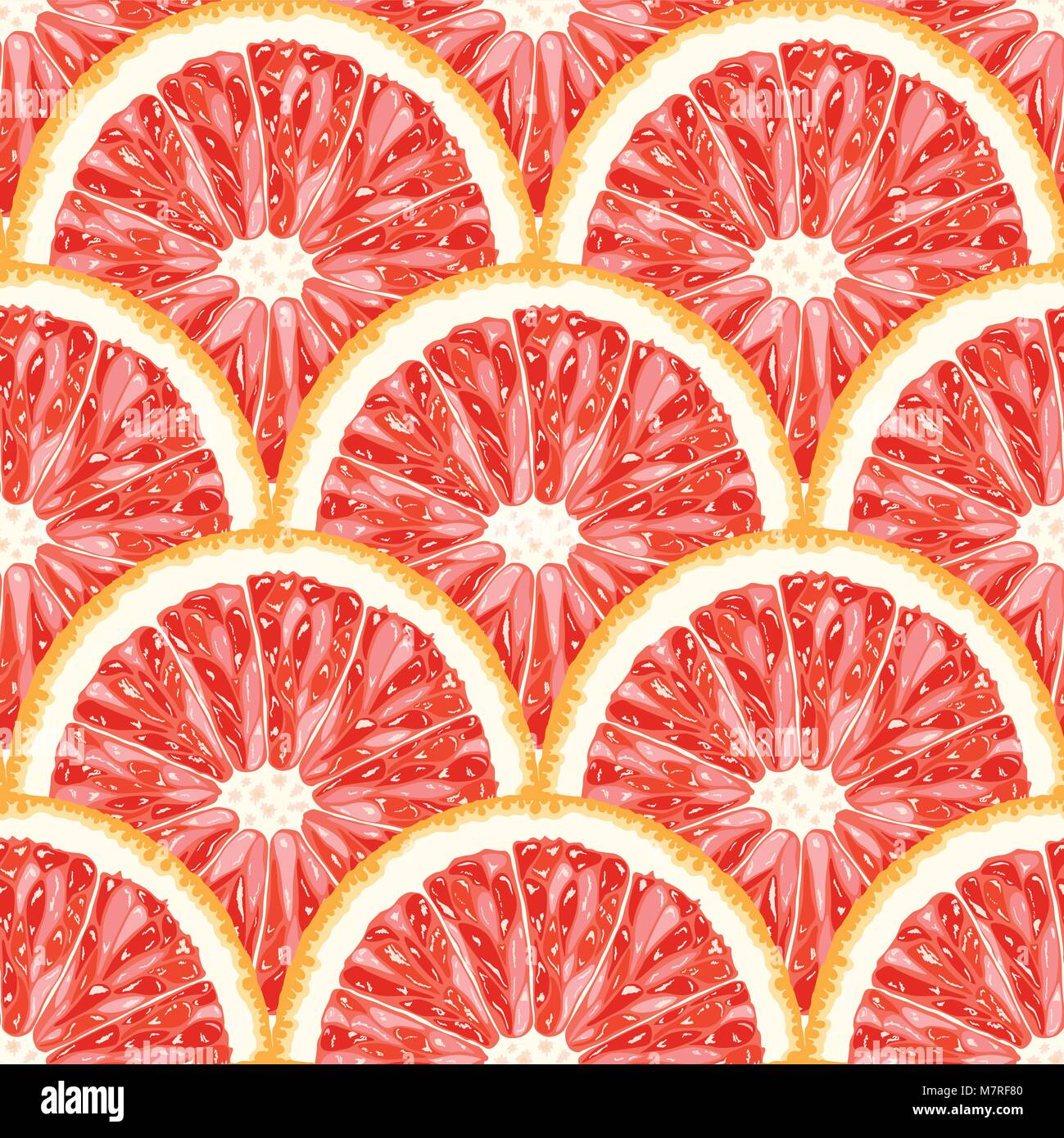 seamless pattern of grapefruit. Citrus background Stock Vector Image ...