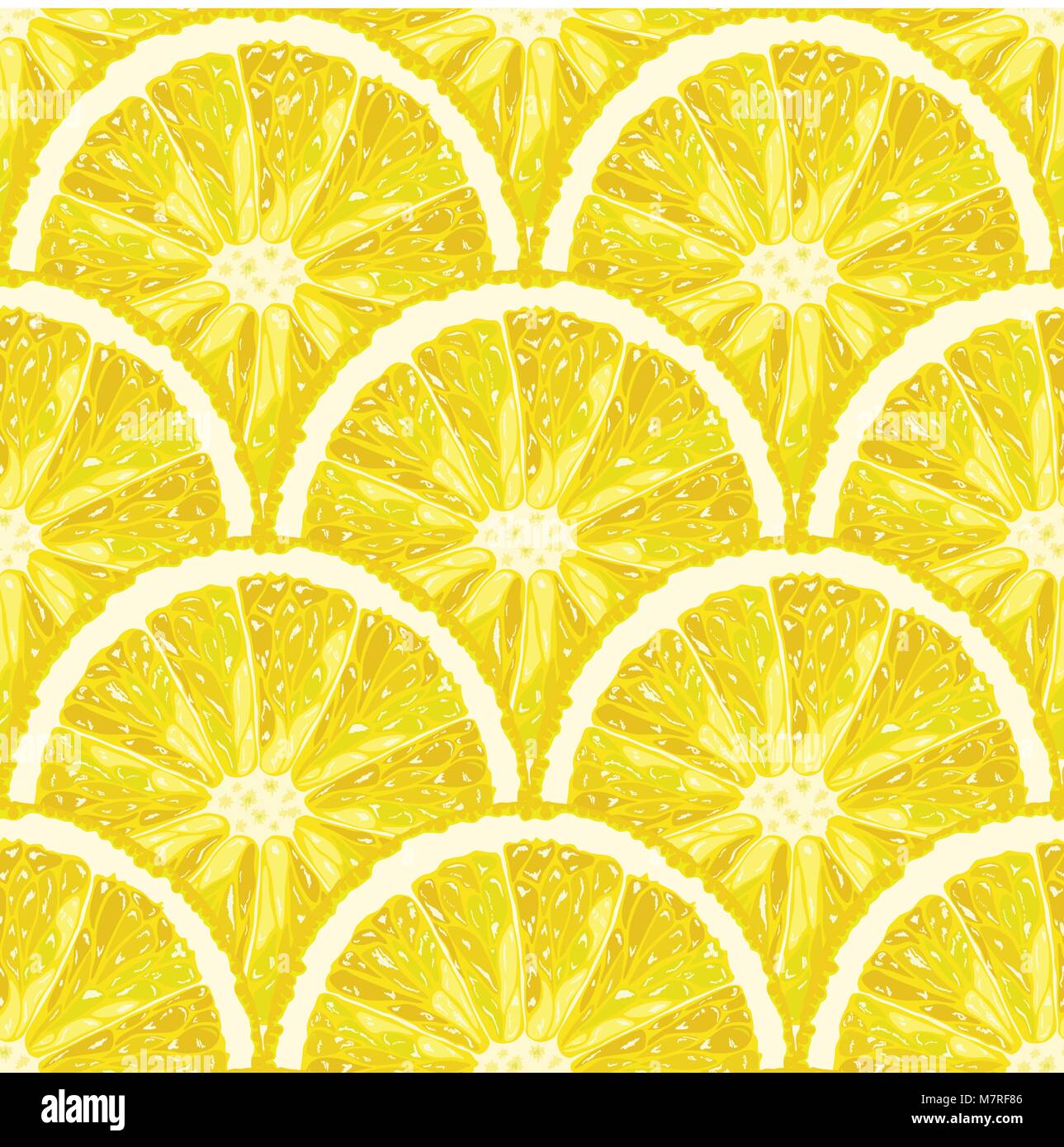 Seamless pattern of lemon slice. Vector citrus Stock Vector Image & Art ...