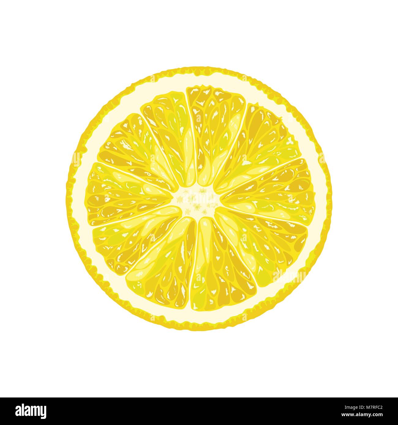 Vector illustration of a half of a lemon Stock Vector Image & Art - Alamy