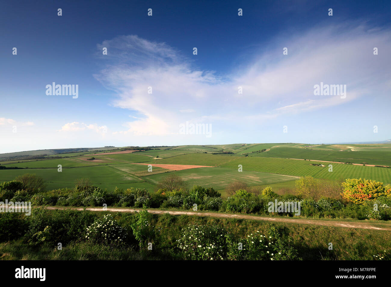 Summer view of the Findon Downs, near the village of Findon, South ...