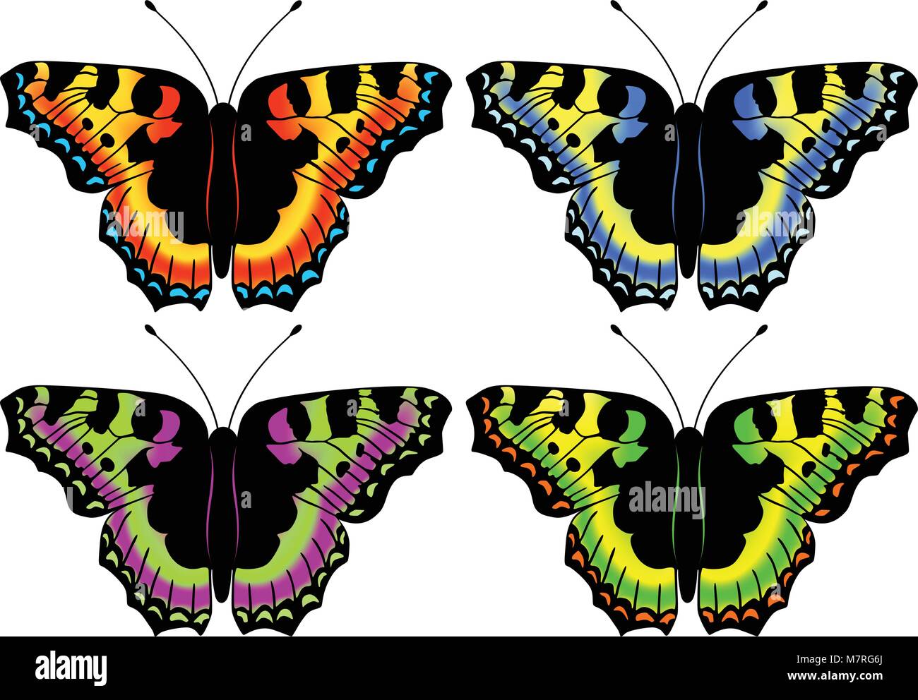 Butterflies from Cut Out Stock Images & Pictures - Alamy