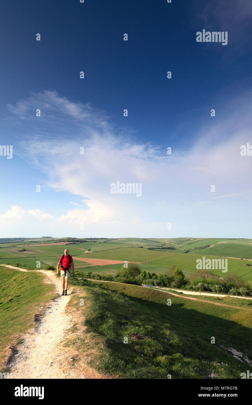 Walker at Cissbury Ring, near Findon village, South Downs National Park ...